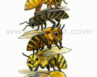 Corvid Stack Painting Print Wall art bird stack by foxfeather