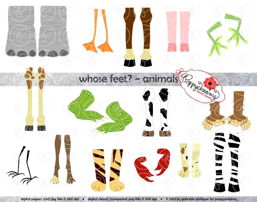 Whose Feet : Animal Digital Clipart Pack 300 dpi Elephant