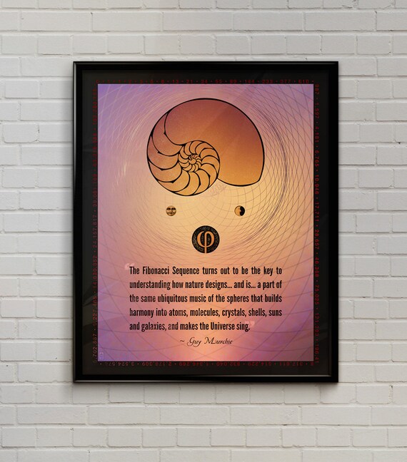Golden Ratio Poster Print artists architects classrooms