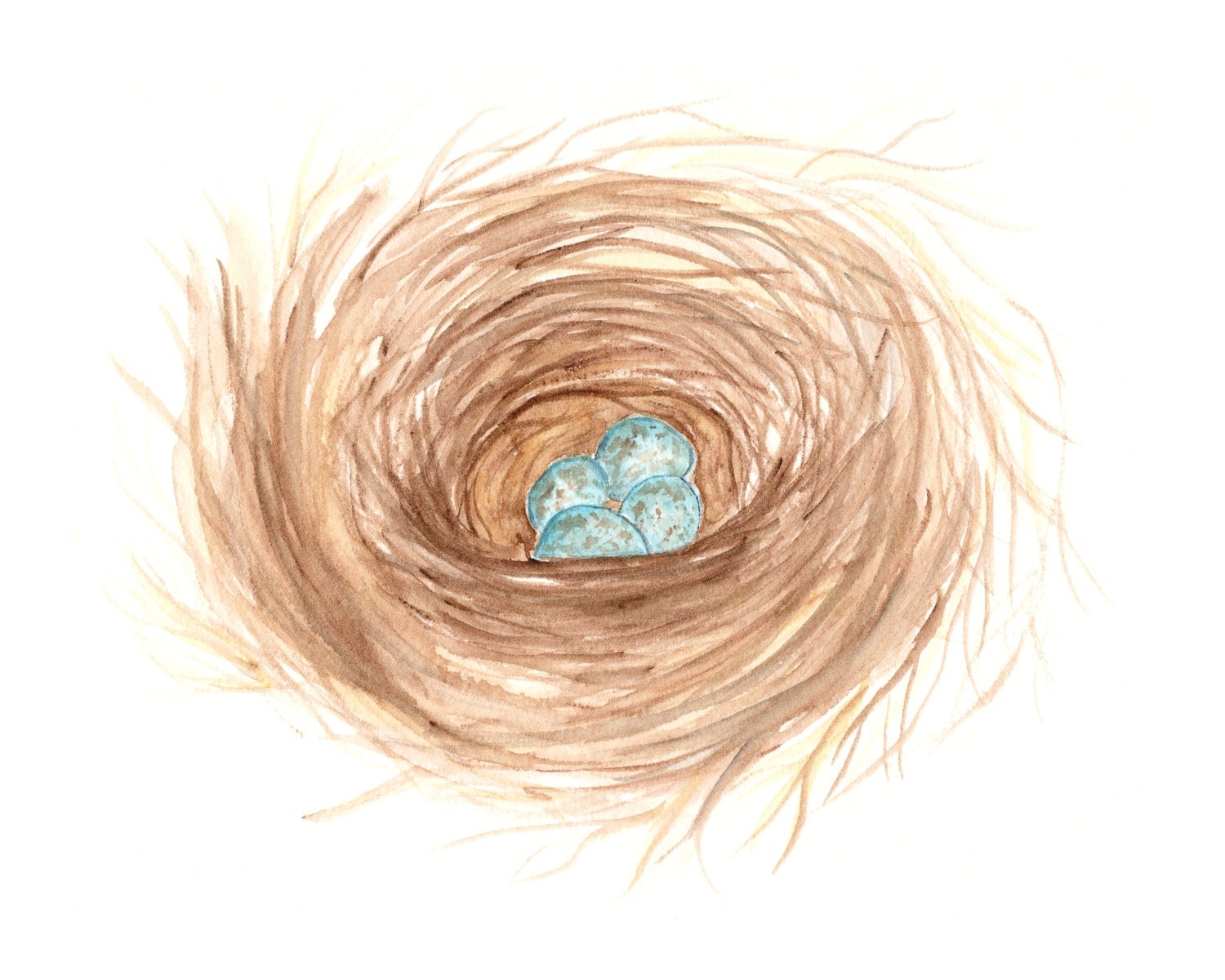 Bird nest painting watercolor painting watercolor nest nest