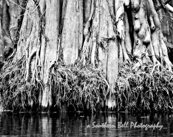 Tree stump print | Etsy