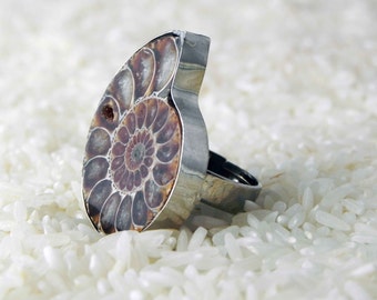 Ammonite ring | Etsy
