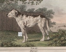 Popular items for 1700s antique on Etsy