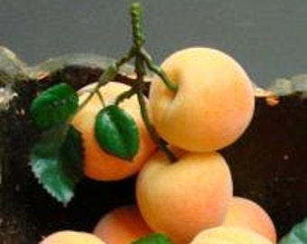 Unique fake fruit related items | Etsy