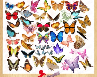 Unique butterfly clip art related items | Etsy