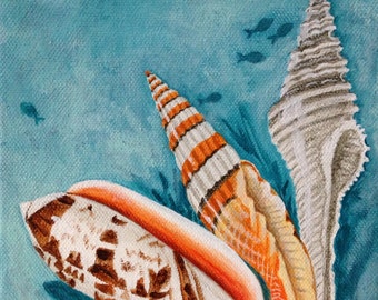 Seashell still life | Etsy