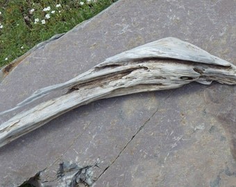 Popular items for driftwood branch on Etsy