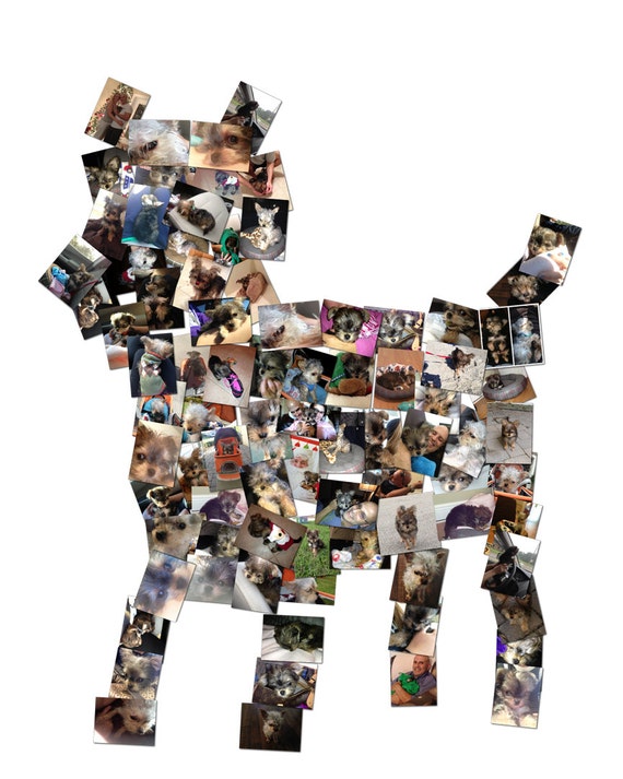 Custom Dog Canvas Mosaic Collage Picture Gift Pet Lover Wall
