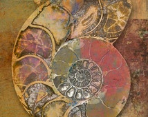Unique nautilus shell art related items | Etsy