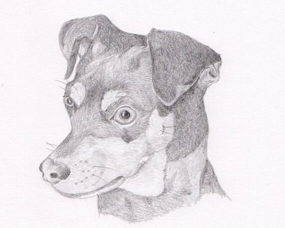 Miniature Pinscher Min Pin Signed Personalized Original