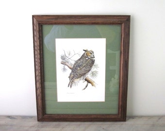 Items similar to Vintage Framed Owl Print from Artist Paul C. Connor in ...