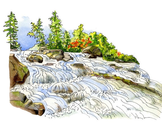Wilderness Drawings