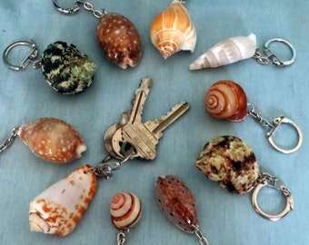 10 Sea shell key rings_wedding party gift_party favors_beach key ring