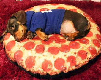 Popular items for pizza pillow on Etsy