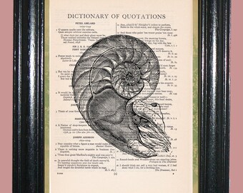 Nautilus shell art | Etsy