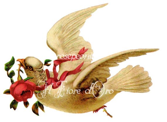 Vintage Victorian Doves with Roses Romantic by ilFioredOro