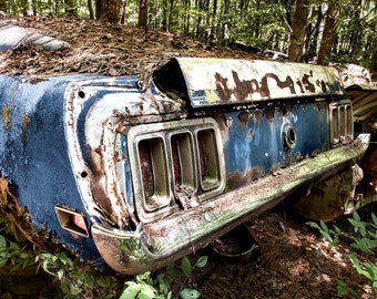 Popular items for cara fuller on Etsy