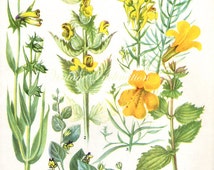 Unique antique rattle related items | Etsy