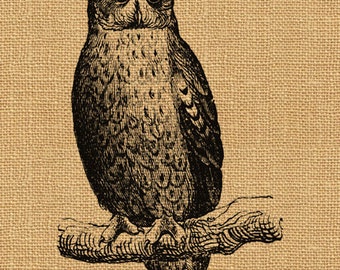 Wise owl clip art | Etsy