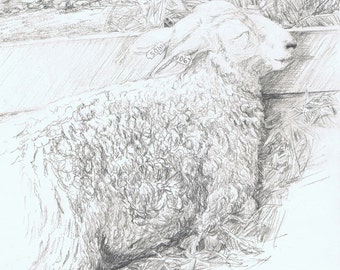 Sheep sketch | Etsy