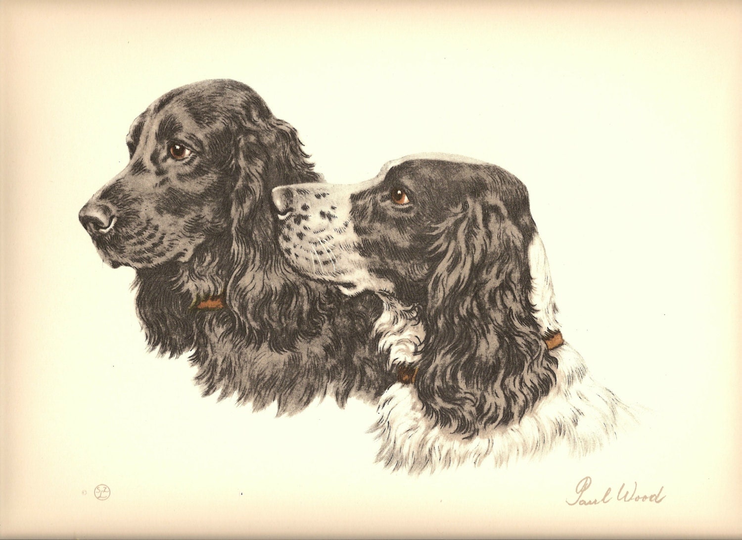 DOG ART PRINT Cocker Spaniel vintage art print by vintagebooklover