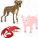Zoo or Farm : Animal Digital Clipart Pack 300 dpi Elephant