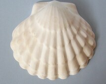 Popular items for plaster of paris on Etsy