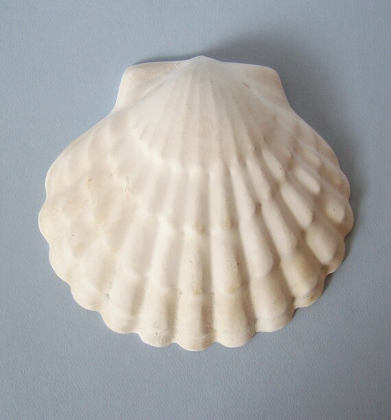 Items similar to LARGE PLASTER CASTING - Deeply Molded Sea Shell For ...