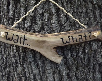 Custom/ funny wood sign/ wait/ what/ door sign/ personalized sign ...