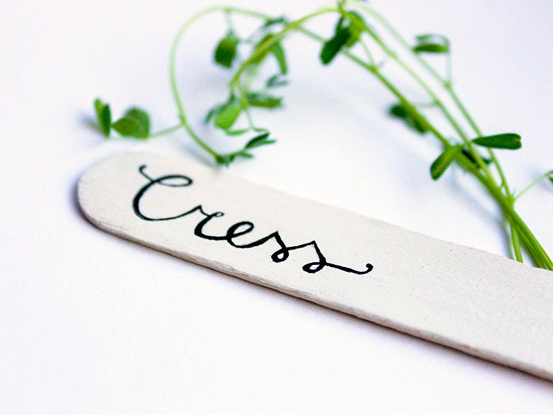 Plant marker – Cress plant – Calligraphy wooden herb garden marker ...