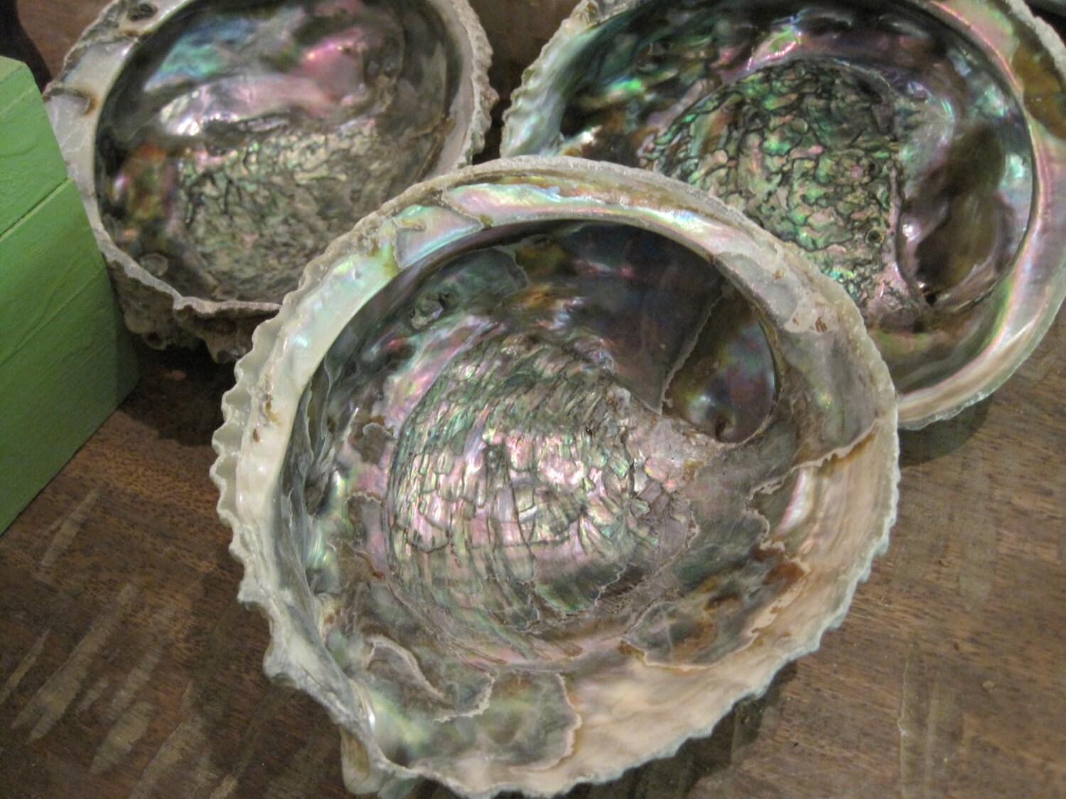 Rainbow Pink Abalone Seashell 1 Large Abalone Shell