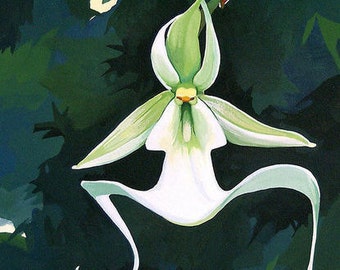 Ghost orchid | Etsy