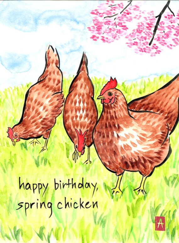 168. happy birthday spring chicken funny cards