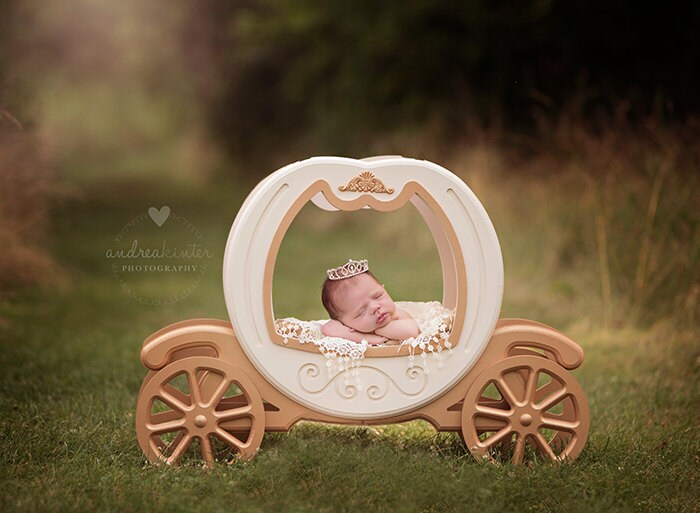 Cinderella Princess Props