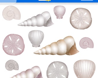 Sand dollar clip art | Etsy