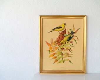 Popular items for rudolf freund on Etsy