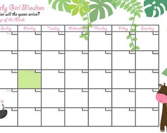 Customize Baby Calendar for Baby Shower Pool Game (Digital File)