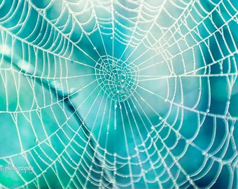 Itsy bitsy spider | Etsy