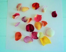 Popular items for biodegradable petal on Etsy