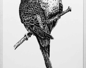 Popular items for drawing parrot on Etsy