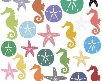 Sand dollar clip art | Etsy