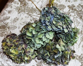 Dried hydrangeas | Etsy