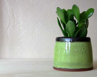 Small Plant Pot Rustic Planter Brown