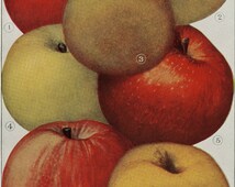 Popular items for red apple print on Etsy