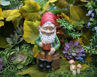 Rude garden gnomes | Etsy