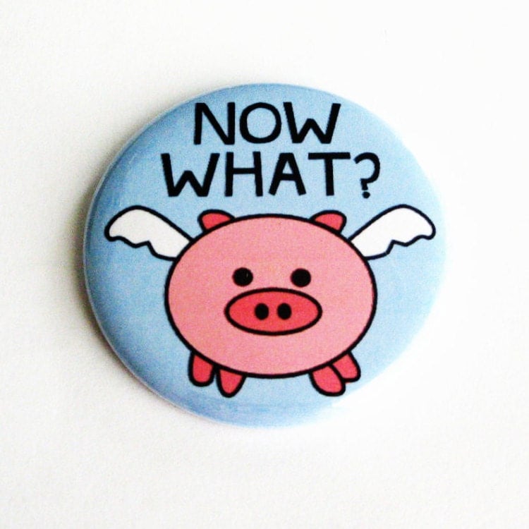 Animal Buttons Pink Piggy Accessories Pig With Wings Blue Pinback ...