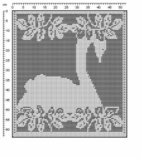Filet Crochet pattern 'Swan Lake' instant PDF by Thenortherngypsie