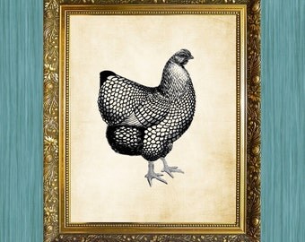 Chicken art print | Etsy
