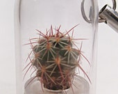Boo-Boo Plant by BooBooPlant on Etsy