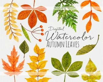 Popular items for watercolor graphics on Etsy